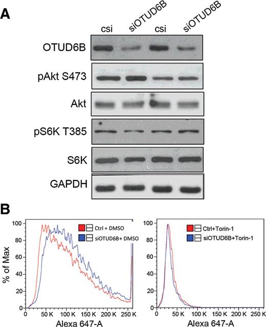 Deubiquitinase OTUD6B Isoforms Are Important Regulators of Growth and ...