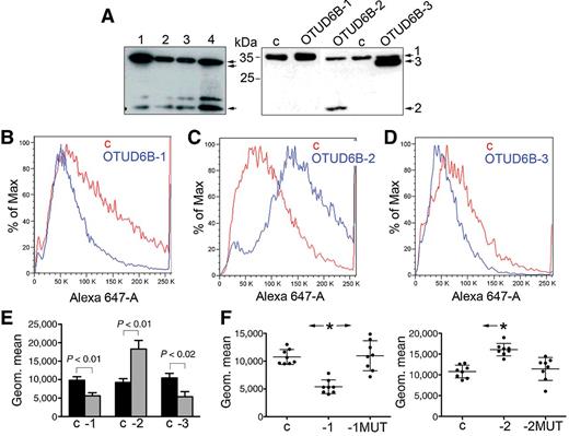 Deubiquitinase OTUD6B Isoforms Are Important Regulators of Growth and ...