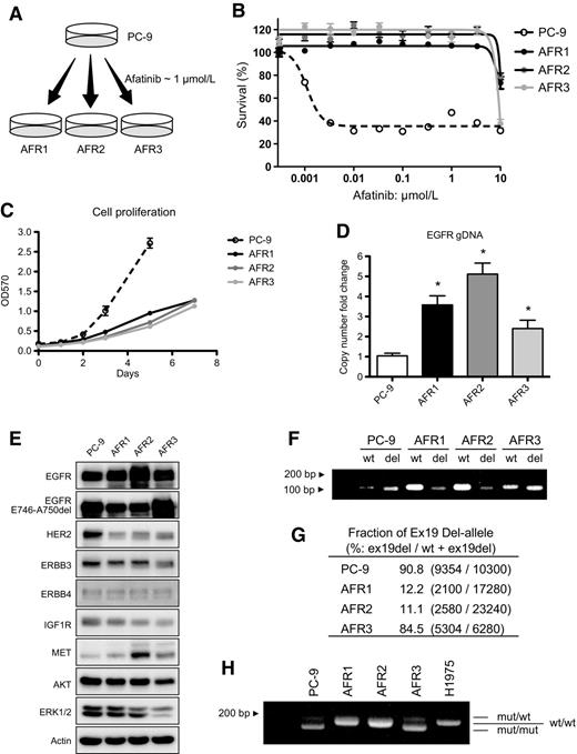 Distinct Afatinib Resistance Mechanisms Identified in Lung ...