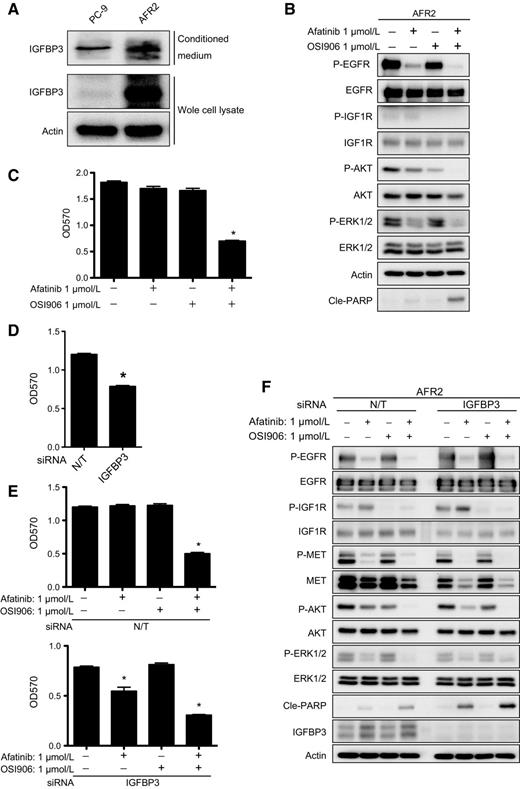 Distinct Afatinib Resistance Mechanisms Identified in Lung ...
