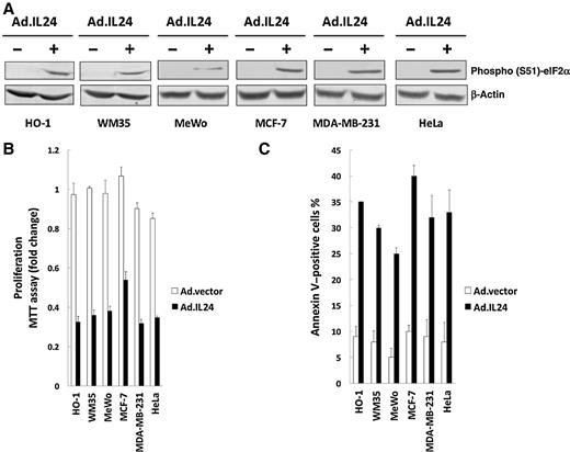 eIF2α Phosphorylation Mediates IL24-Induced Apoptosis through ...