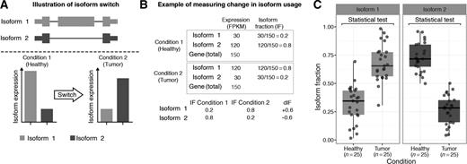 The Landscape of Isoform Switches in Human Cancers | Molecular Cancer ...