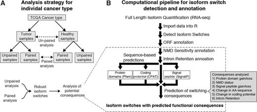 The Landscape of Isoform Switches in Human Cancers | Molecular Cancer Research | American ...
