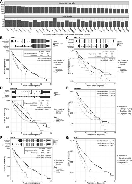 The Landscape of Isoform Switches in Human Cancers | Molecular Cancer ...