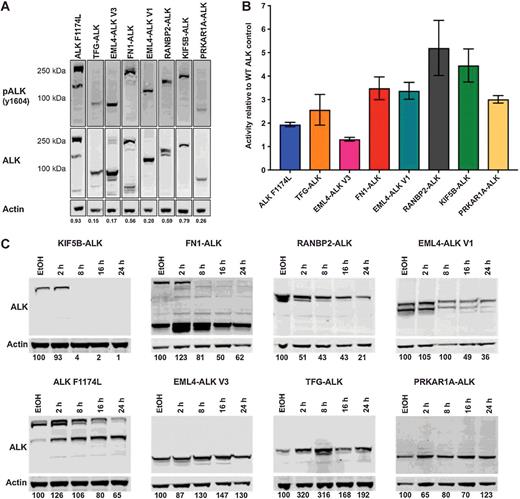 ALK Fusion Partners Impact Response to ALK Inhibition: Differential ...