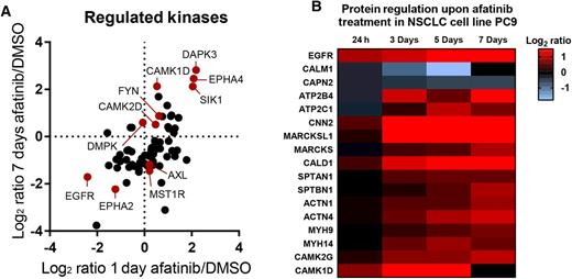 Adaptive Resistance to EGFR-Targeted Therapy by Calcium Signaling in ...
