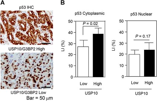 Association of USP10 with G3BP2 Inhibits p53 Signaling and Contributes ...