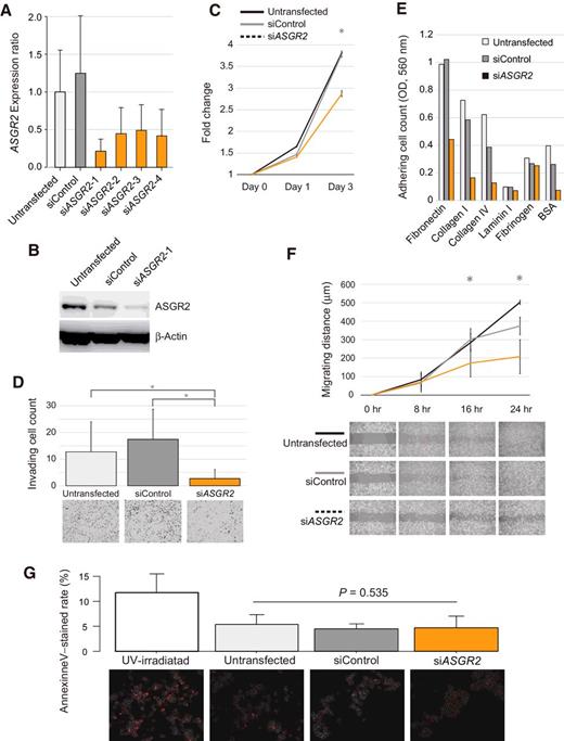 Pattern-Specific Transcriptomics Identifies ASGR2 as a Predictor of ...