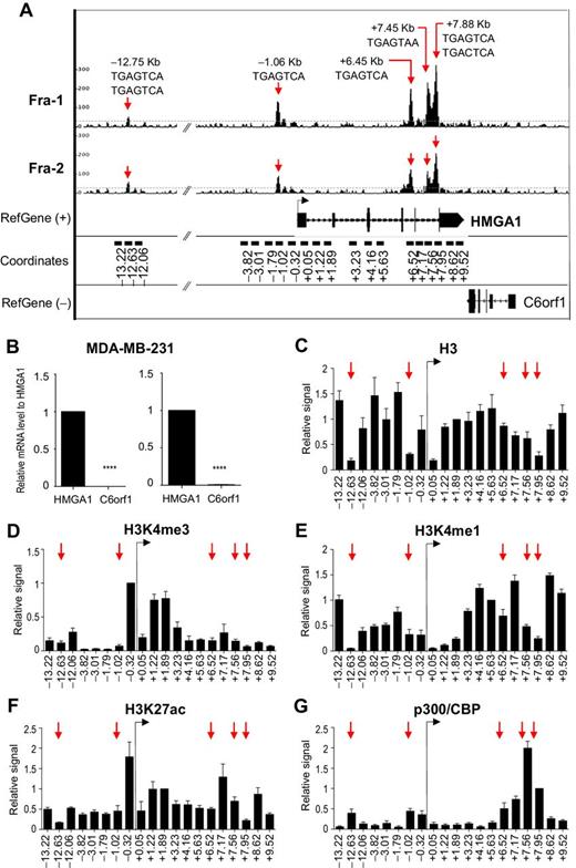 AP-1 Signaling by Fra-1 Directly Regulates HMGA1 Oncogene Transcription ...