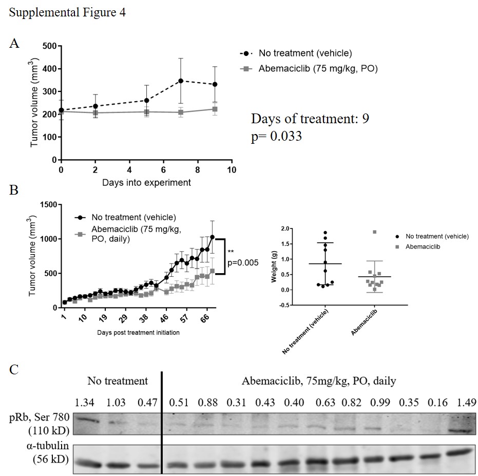 Abemaciclib Is Effective Against Pancreatic Cancer Cells and Synergizes ...