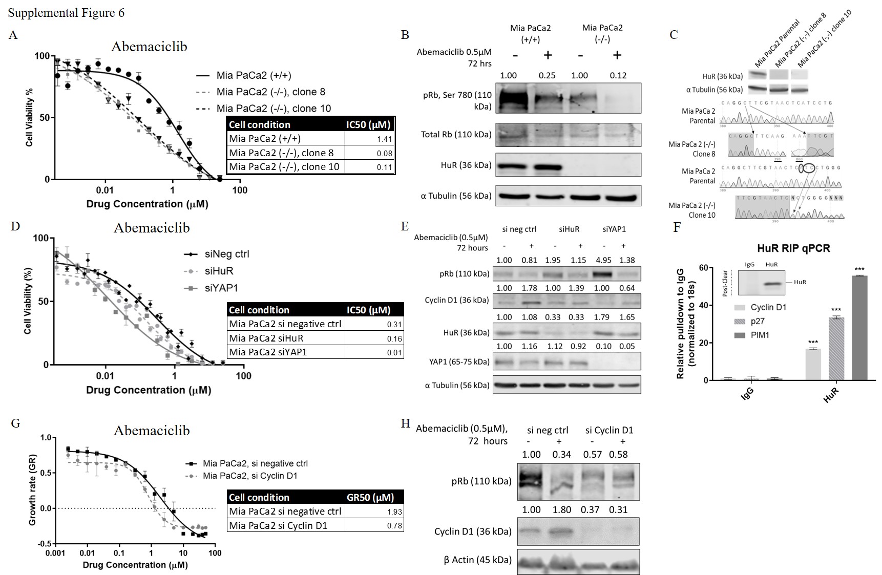Abemaciclib Is Effective Against Pancreatic Cancer Cells and Synergizes ...