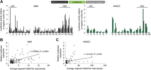 Intron 1–Mediated Regulation of EGFR Expression in EGFR-Dependent ...