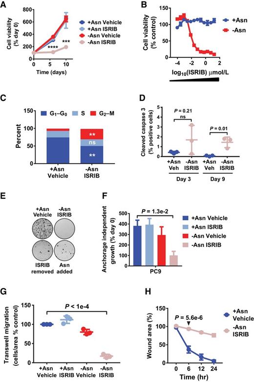 Adaptive Protein Translation by the Integrated Stress Response ...