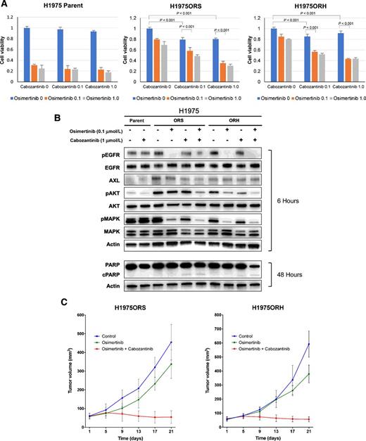 Activation of AXL as a Preclinical Acquired Resistance Mechanism Against Osimertinib Treatment ...