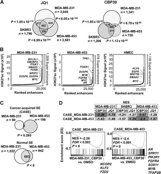 CREBBP/EP300 Bromodomain Inhibition Affects the Proliferation of AR ...