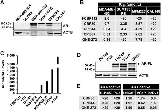 CREBBP/EP300 Bromodomain Inhibition Affects the Proliferation of AR ...