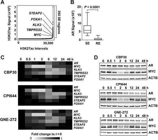 CREBBP/EP300 Bromodomain Inhibition Affects the Proliferation of AR ...