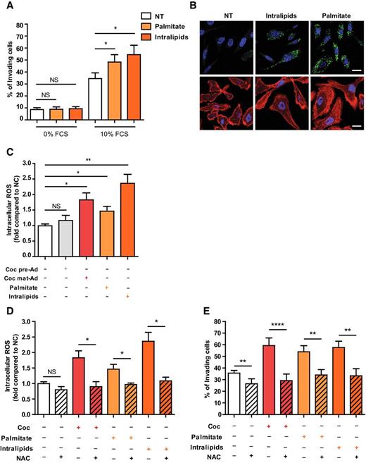 Periprostatic Adipose Tissue Favors Prostate Cancer Cell Invasion in an ...