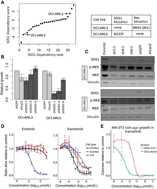 Identification and Characterization of Oncogenic SOS1 Mutations in Lung ...
