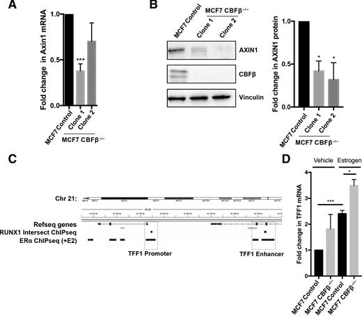 The RUNX Transcriptional Coregulator, CBFβ, Suppresses Migration of ER+ ...