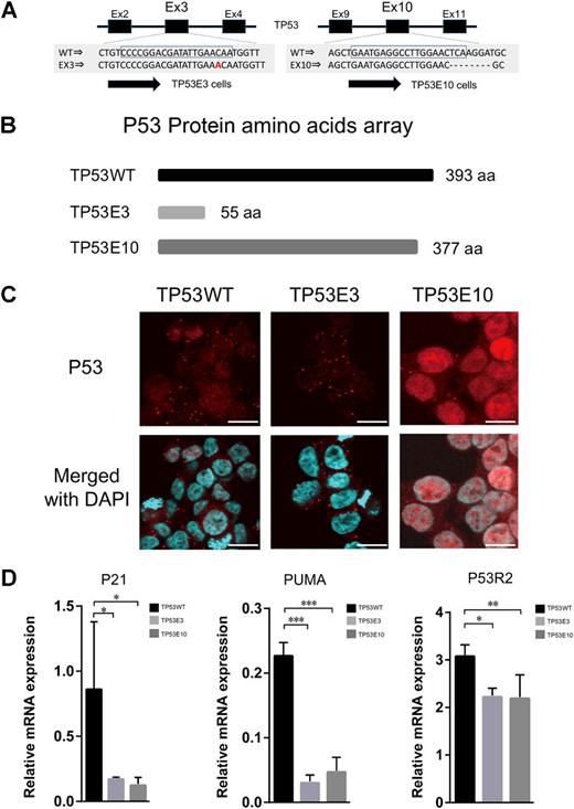 TP53 Mutation by CRISPR System Enhances the Malignant Potential of ...