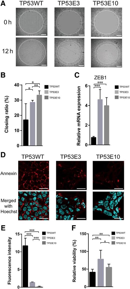 TP53 Mutation by CRISPR System Enhances the Malignant Potential of ...