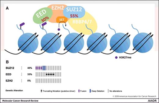 Malignant Peripheral Nerve Sheath Tumors: From Epigenome to Bedside ...