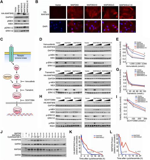 Identification of Targetable Recurrent MAP3K8 Rearrangements in ...