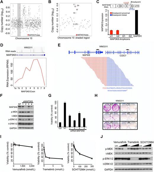 Identification of Targetable Recurrent MAP3K8 Rearrangements in ...