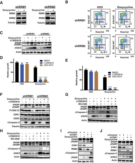 Inhibition of the ATR–CHK1 Pathway in Ewing Sarcoma Cells Causes DNA ...