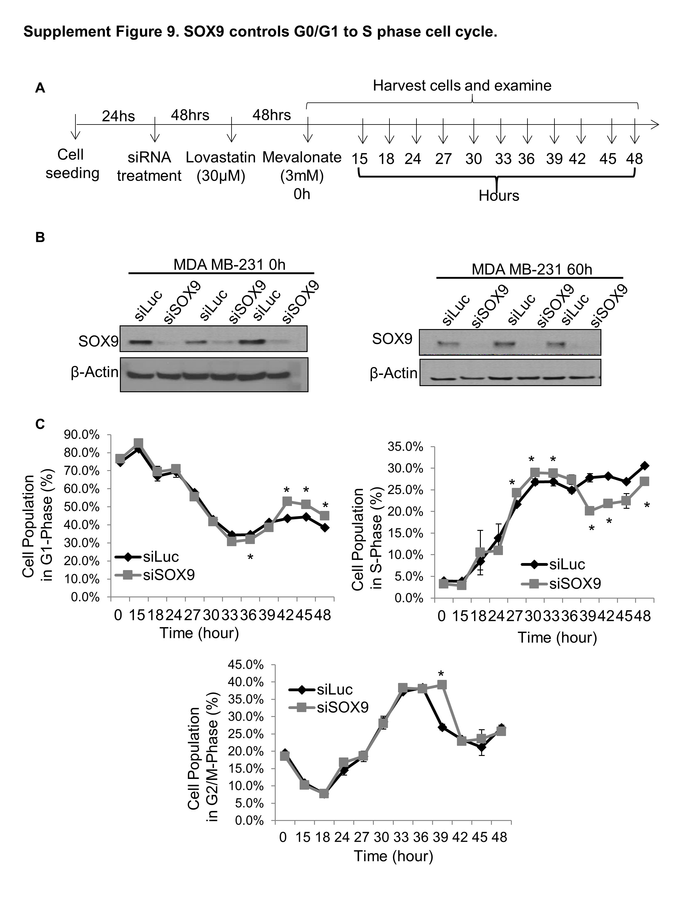 SOX9 Is Essential for Triple-Negative Breast Cancer Cell Survival and ...