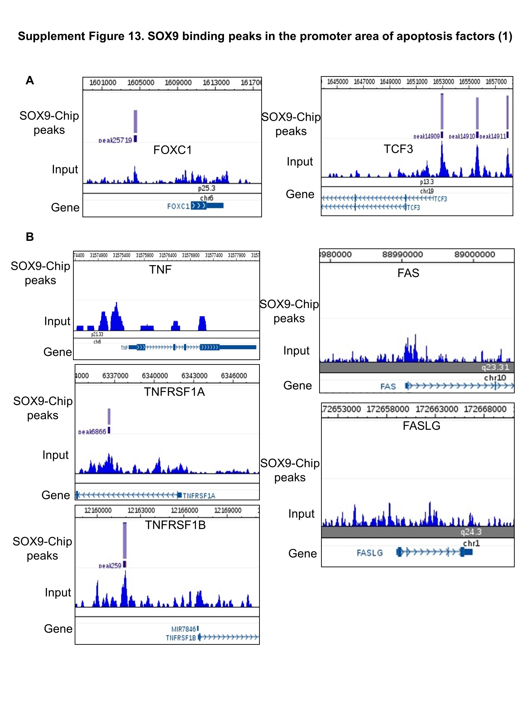 SOX9 Is Essential for Triple-Negative Breast Cancer Cell Survival and ...