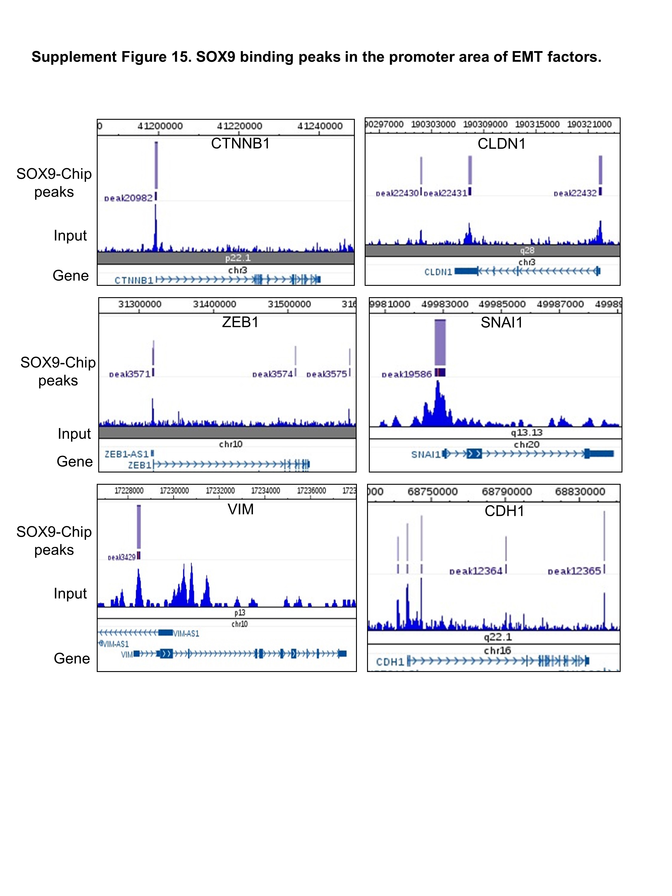 SOX9 Is Essential for Triple-Negative Breast Cancer Cell Survival and ...