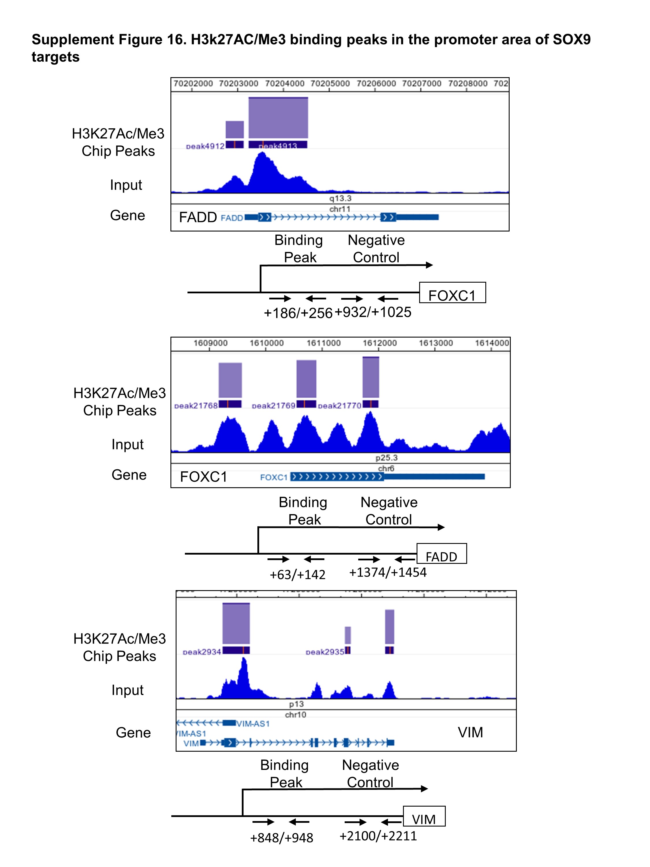 SOX9 Is Essential for Triple-Negative Breast Cancer Cell Survival and ...
