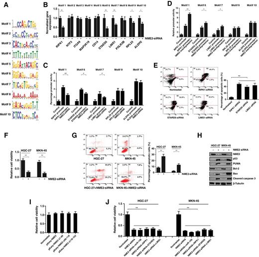 NME2 Is a Master Suppressor of Apoptosis in Gastric Cancer Cells via ...