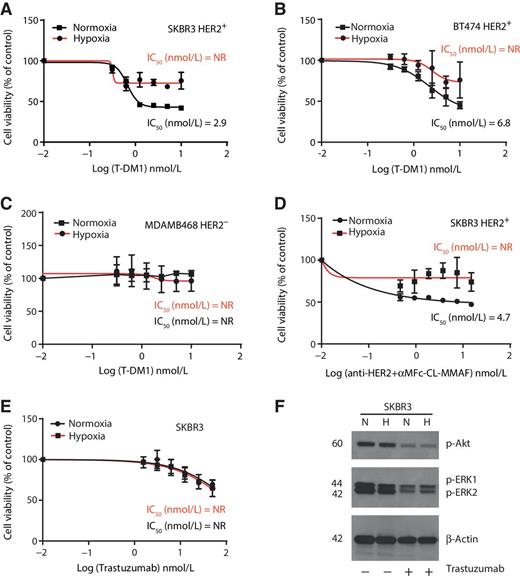 Hypoxia Attenuates Trastuzumab Uptake and Trastuzumab-Emtansine (T-DM1 ...
