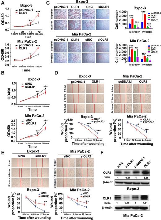 OLR1 Promotes Pancreatic Cancer Metastasis via Increased c-Myc ...
