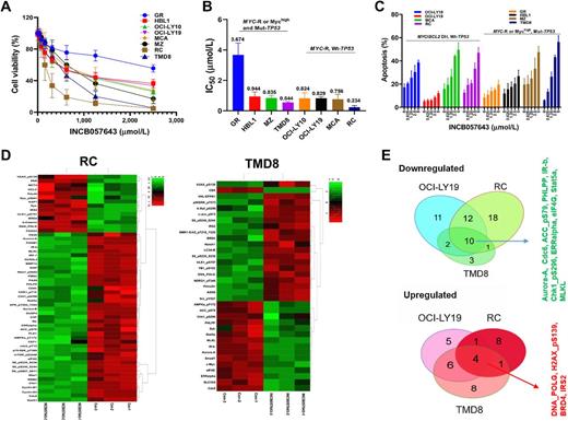 Aggressive B-cell Lymphoma with MYC/TP53 Dual Alterations Displays ...