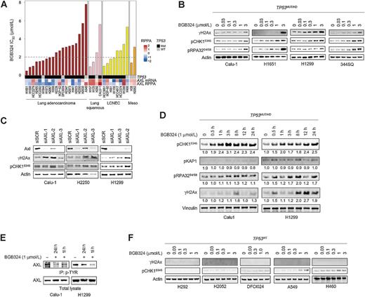 AXL Inhibition Induces DNA Damage and Replication Stress in Non–Small ...
