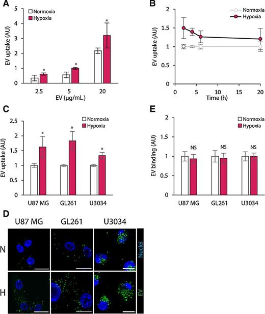 Hypoxic Induction of Exosome Uptake through Proteoglycan-Dependent ...