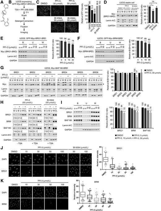 The Bromodomain Inhibitor PFI-3 Sensitizes Cancer Cells to DNA Damage ...