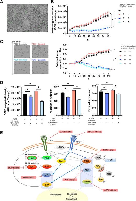 Crenolanib Regulates ERK and AKT/mTOR Signaling Pathways in RAS/BRAF ...