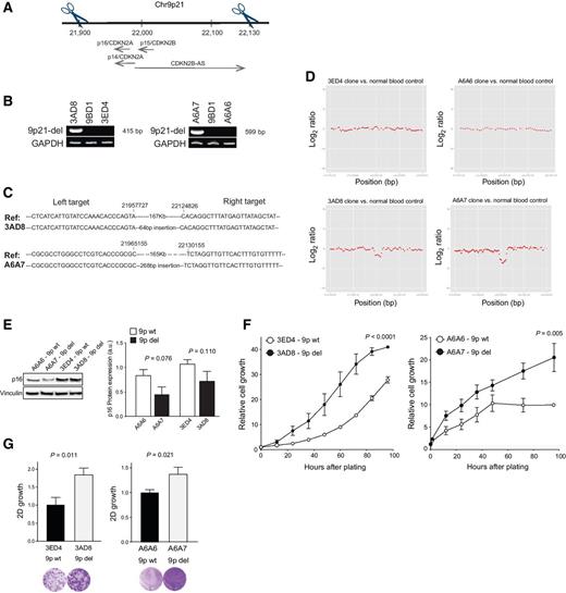 Loss of 9p21 Regulatory Hub Promotes Kidney Cancer Progression by ...