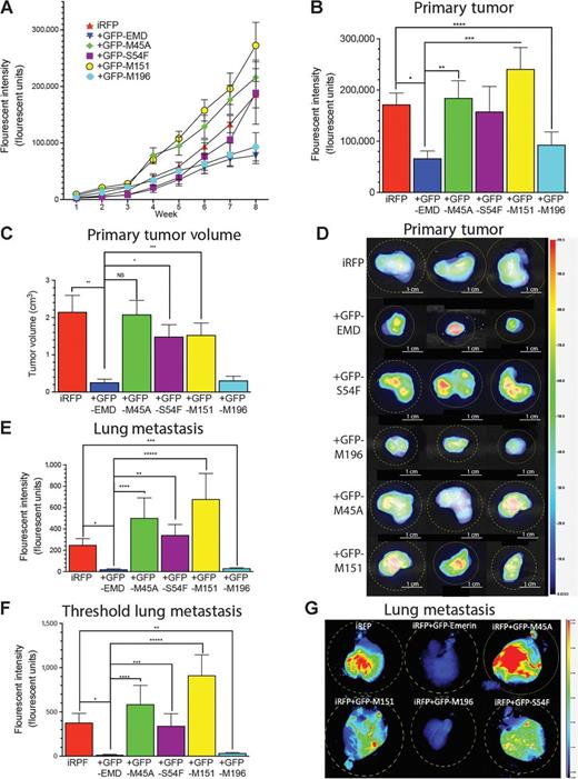Defects in Emerin–Nucleoskeleton Binding Disrupt Nuclear Structure and ...