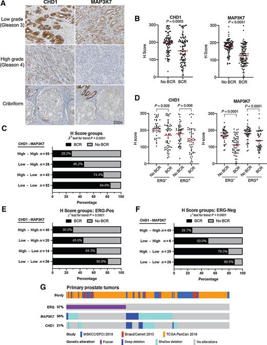 MAP3K7 Loss Drives Enhanced Androgen Signaling and Independently ...