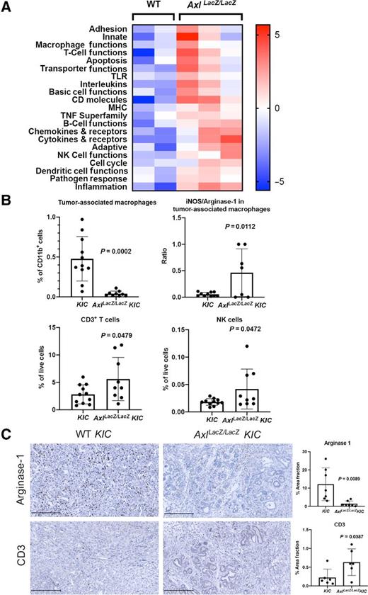 AXL Is a Key Factor for Cell Plasticity and Promotes Metastasis in ...