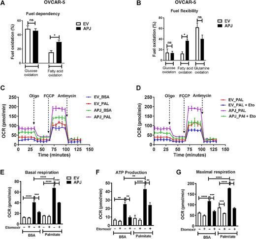 Adipokine Apelin/APJ Pathway Promotes Peritoneal Dissemination of ...