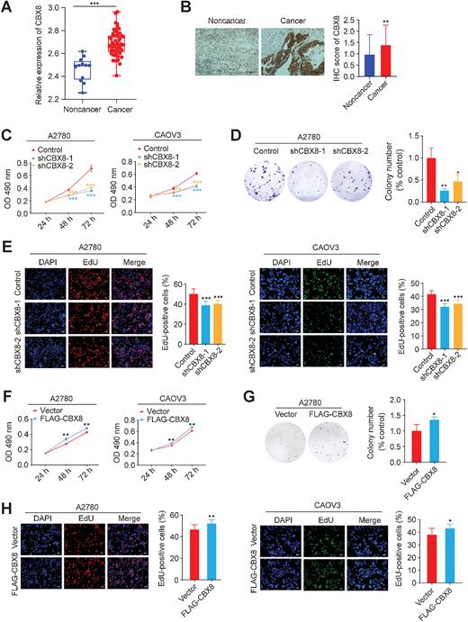 CBX8 Together with SET Facilitates Ovarian Carcinoma Growth and ...