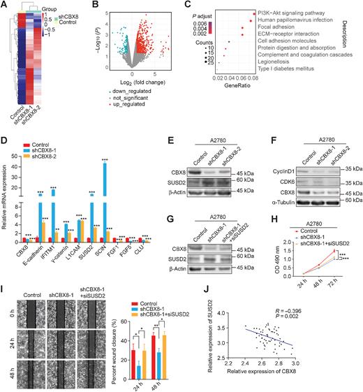 CBX8 Together with SET Facilitates Ovarian Carcinoma Growth and ...