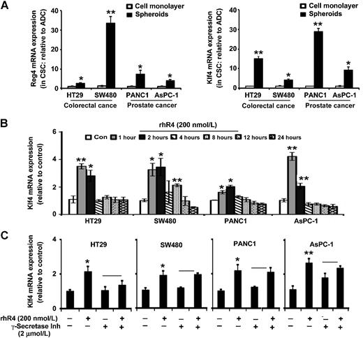Reg4 Interacts with CD44 to Regulate Proliferation and Stemness of ...